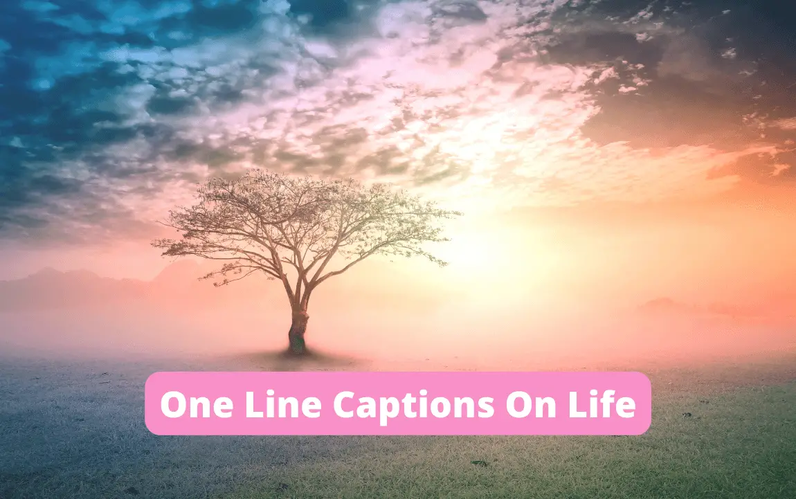 400+ Best One Line Caption And Quotes For Instagram - PROVOKE